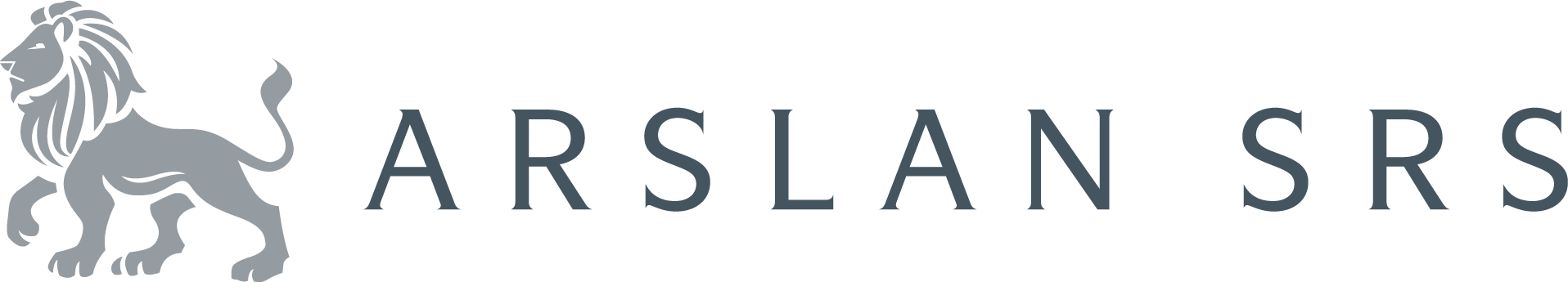 Security Services – ARSLAN SRS INDIA